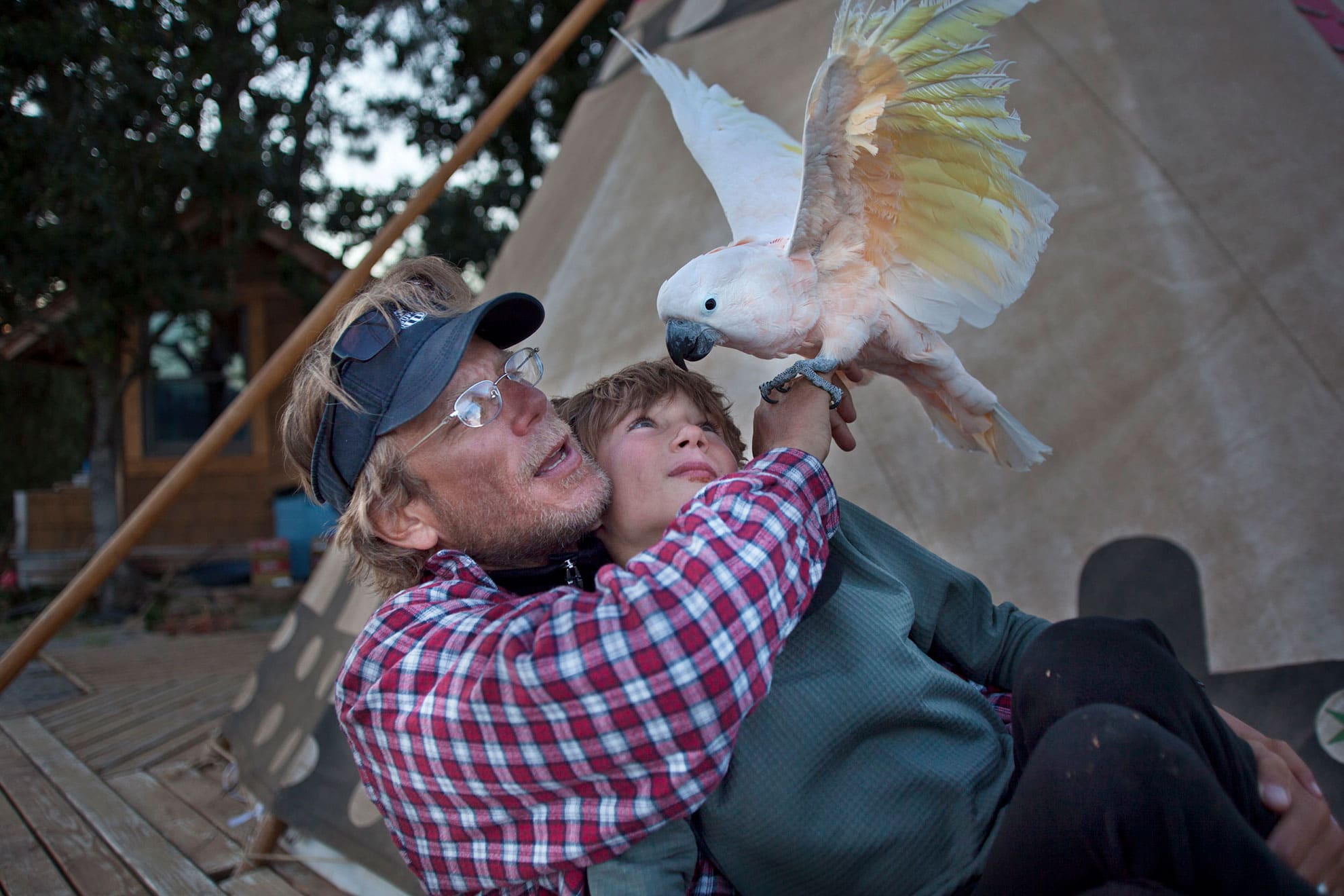 Jim Grossman - johnchao.com